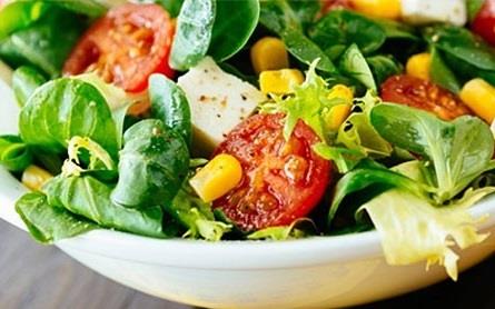 ?DIETAS DA MODA? É TEMA DE EXPOSIÇÃO DO CURSO DE NUTRIÇÃO — FIMCA ...