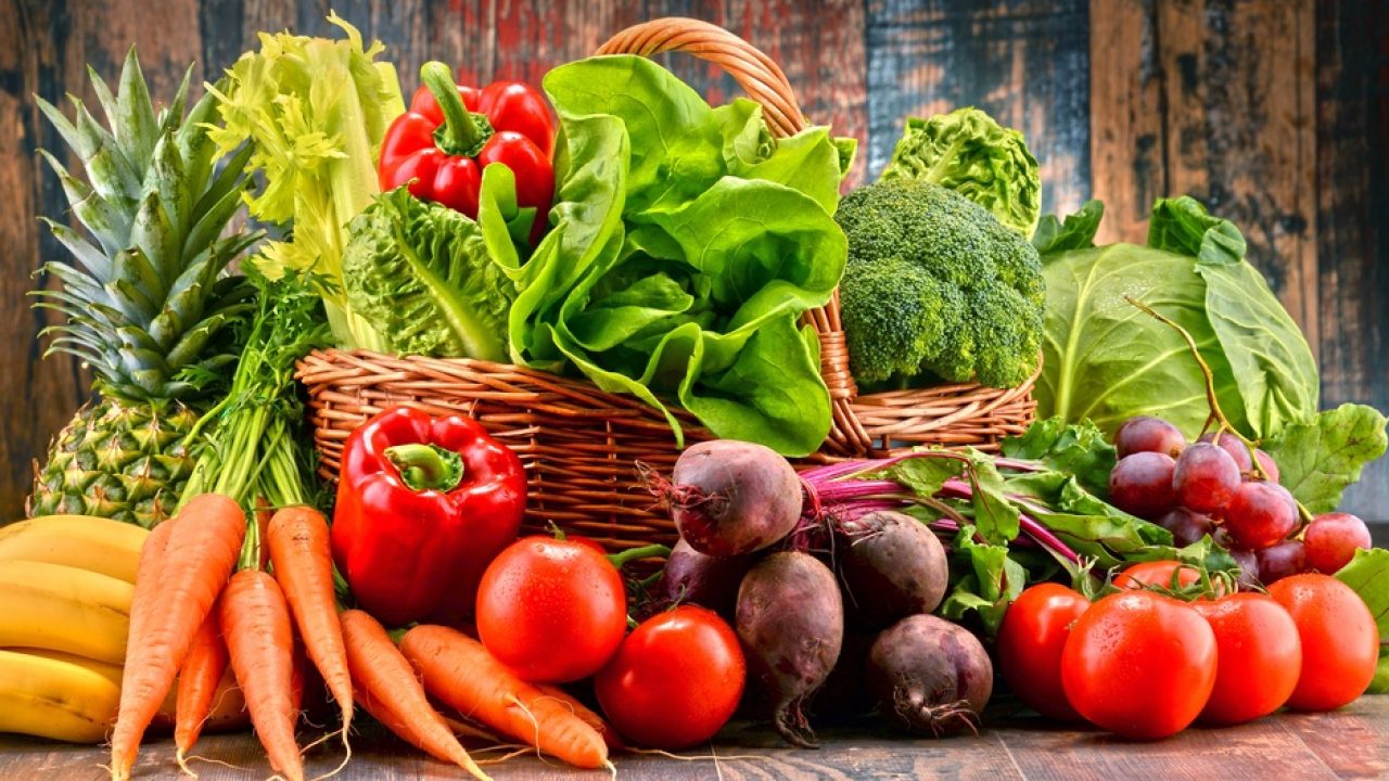 A importância da nutrição alimentar para a saúde e bem-estar — FIMCA ...